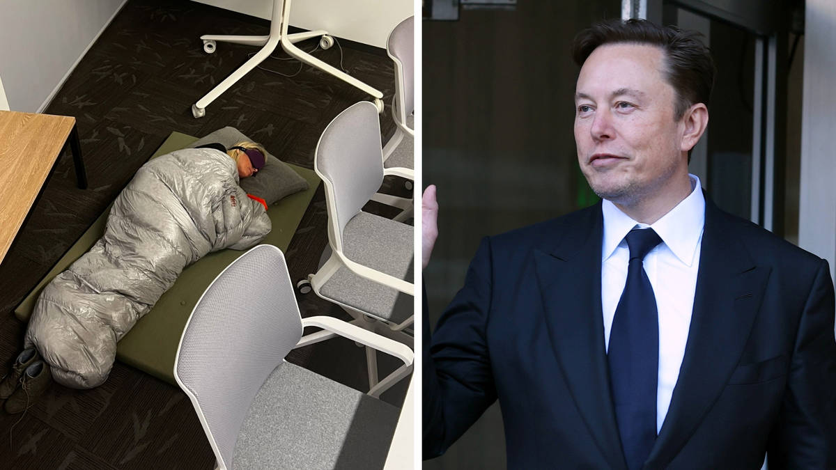 Elon Musk sacks Twitter exec who bragged of sleeping at the office amid ... Elon Musk sacks Twitter exec who bragged of sleeping at the office amid ...