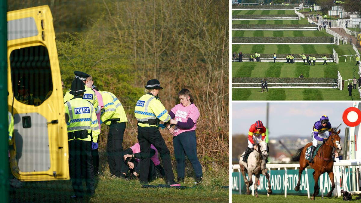 Animal rights protestors close M57 after glueing themselves to the road ... Animal rights protestors close M57 after glueing themselves to the road ...